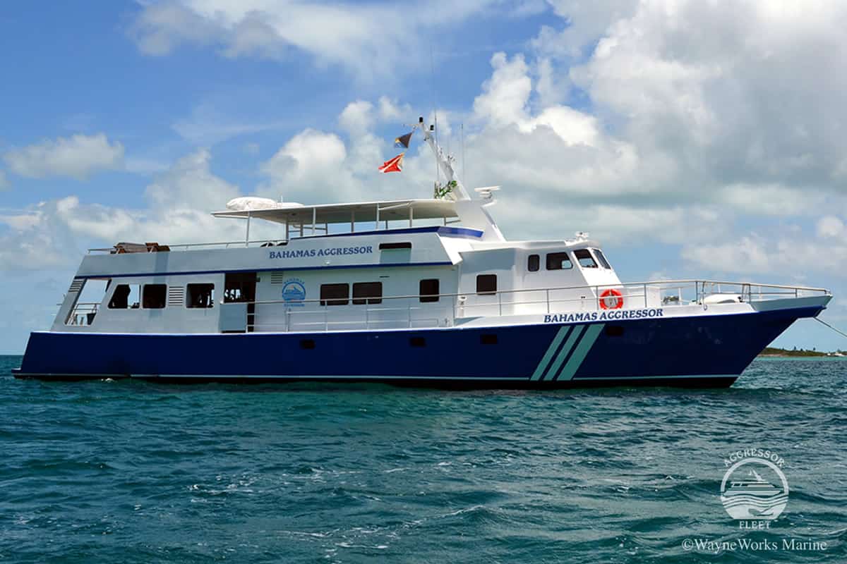 Belize Aggressor IV - Caribbean Liveaboard Holidays » Diverse Travel