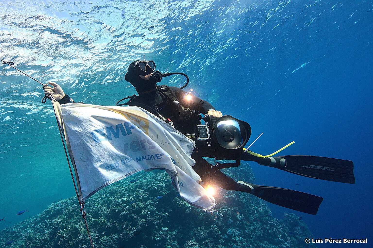 Red Sea Elite | Diverse Dive Blog