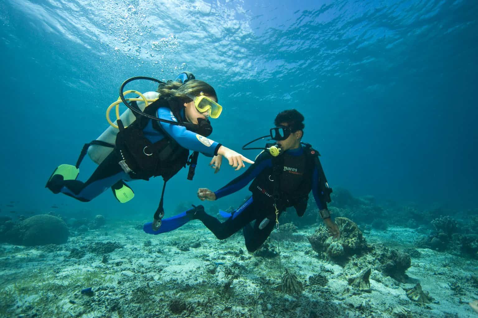 Diving Holidays Deals | Diving Holiday Experts | Diverse Travel UK